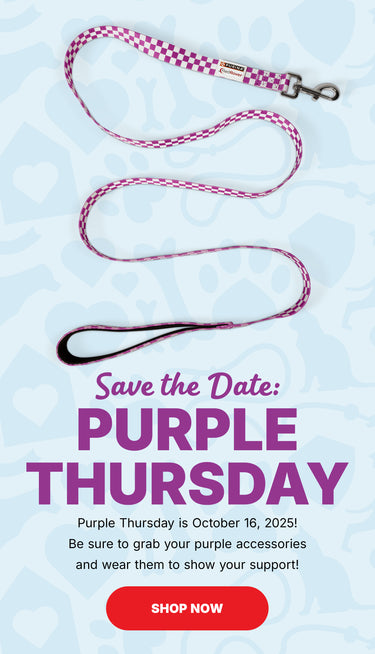 Purple Leash Project – Shop Purple Leash